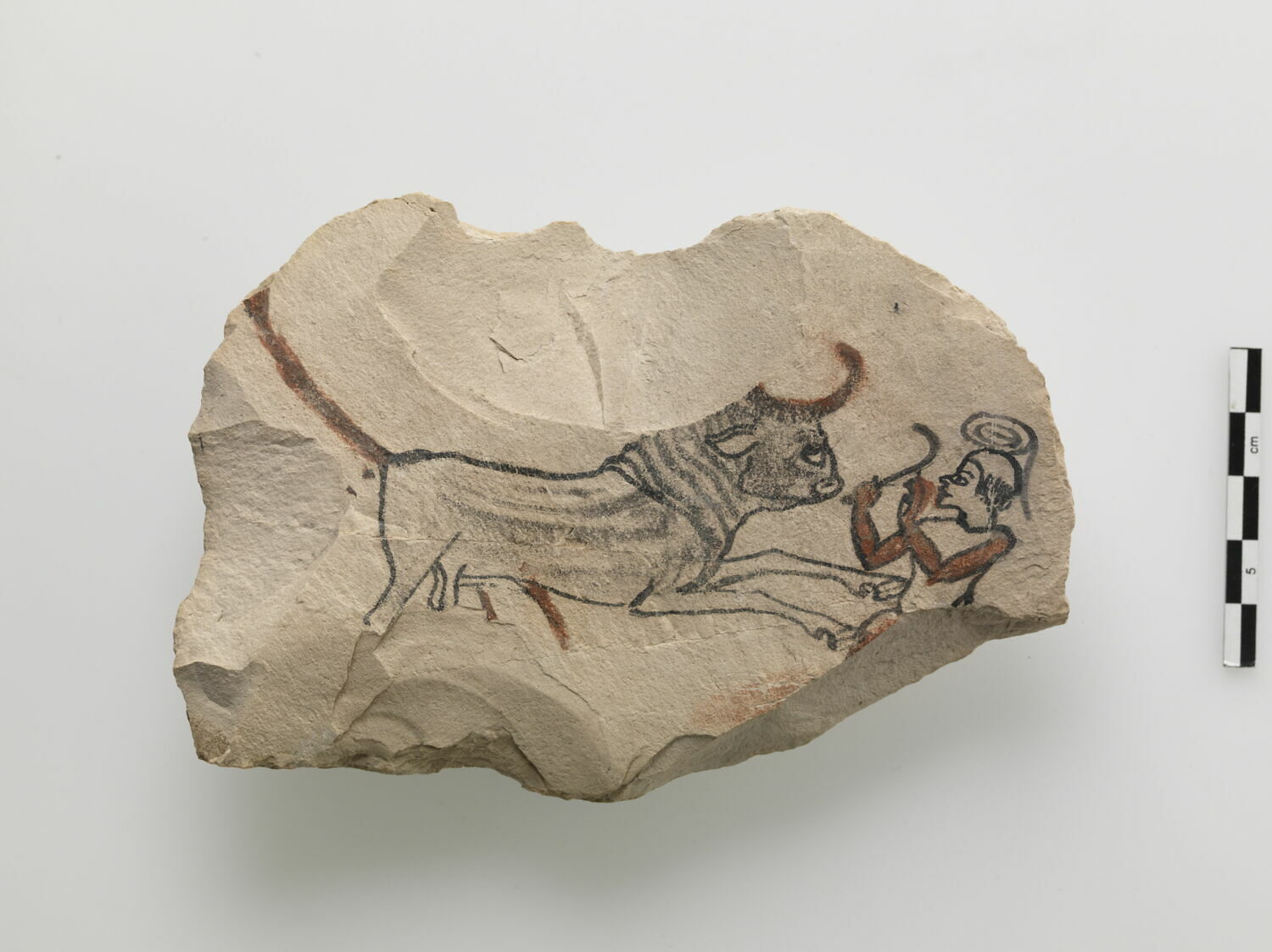 ostracon figuré - Louvre Collections