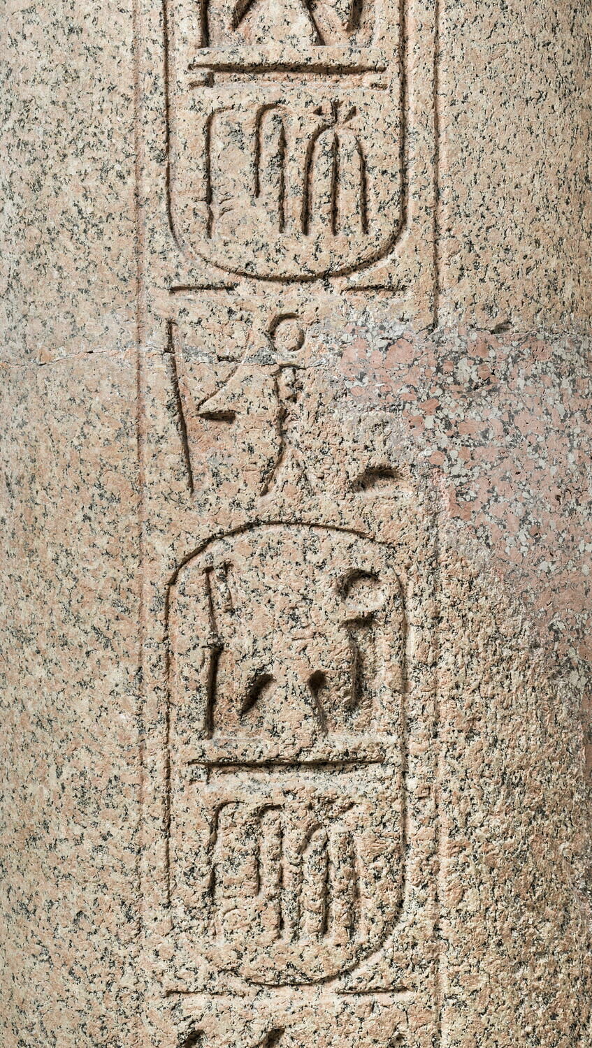 colonne palmiforme - Louvre site des collections