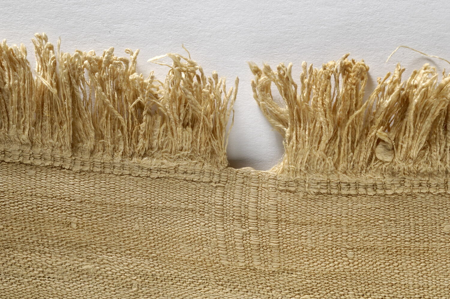tissu ; linceul - Louvre Collections