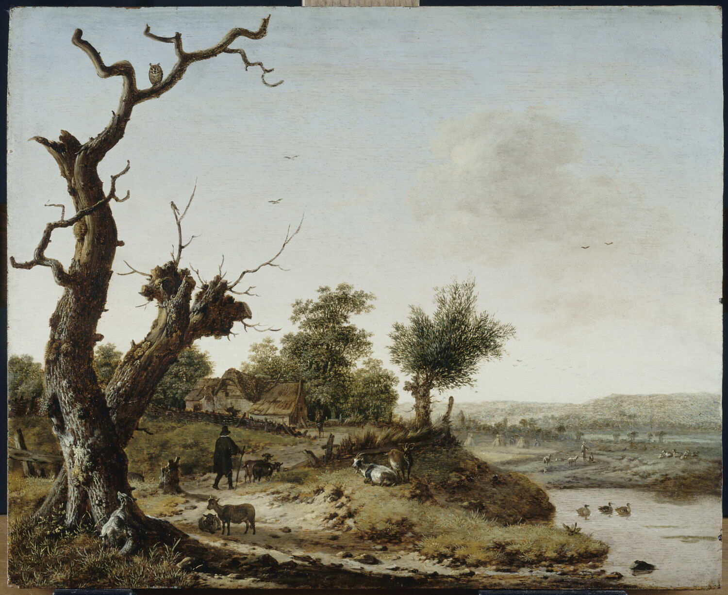 Paysage rustique. Arbres morts, chemin et mare - Louvre site des ...