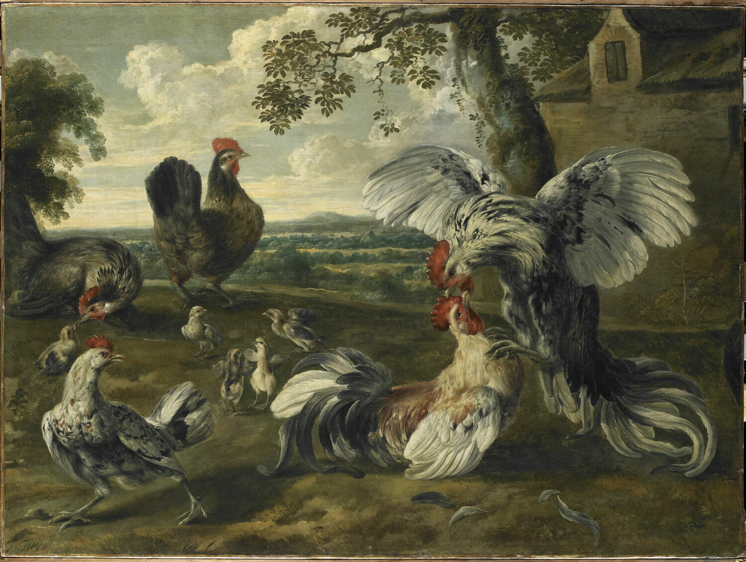 Combat de coqs et de poules - Louvre site des collections