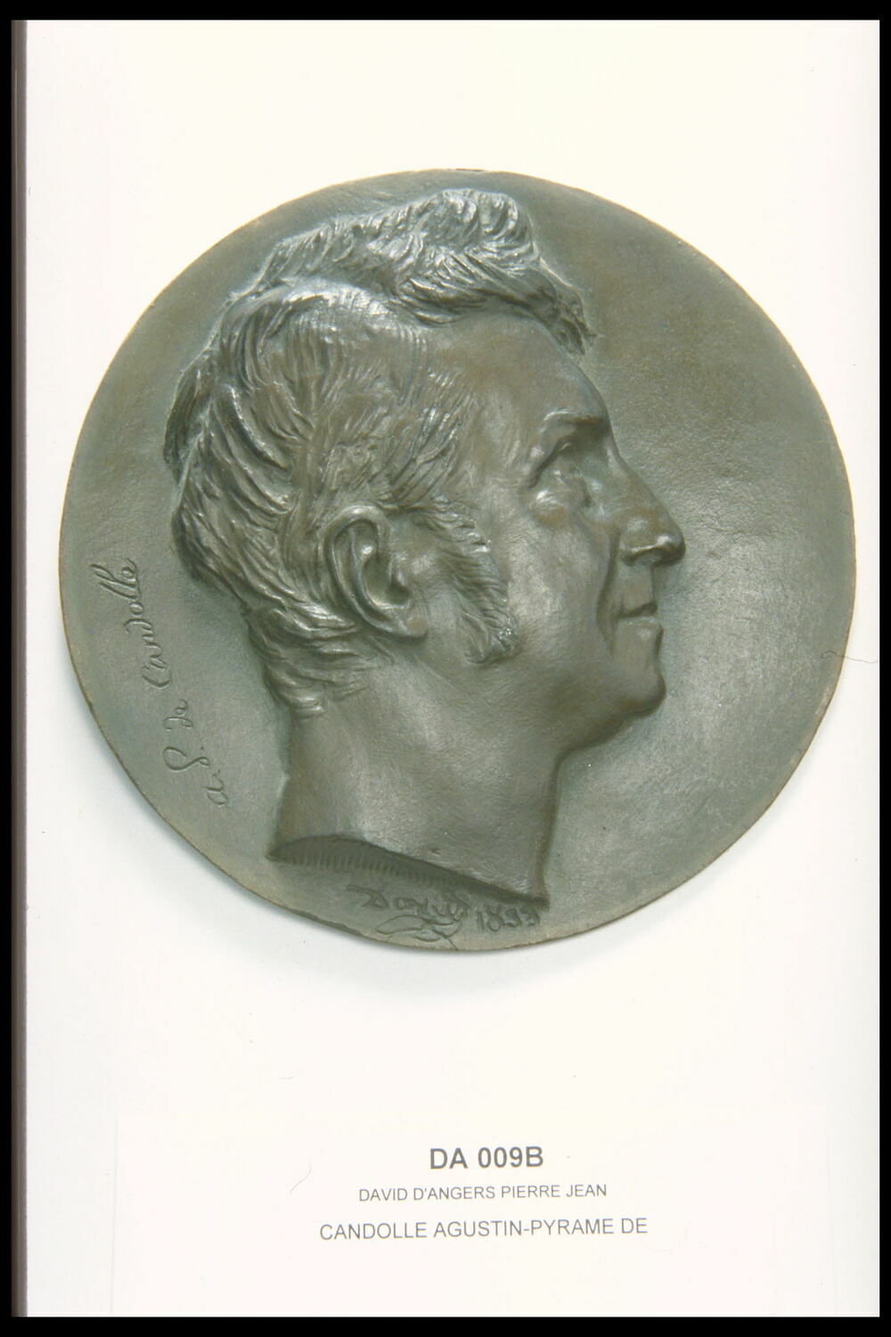 Augustin Pyramus de Candolle - Louvre site des collections