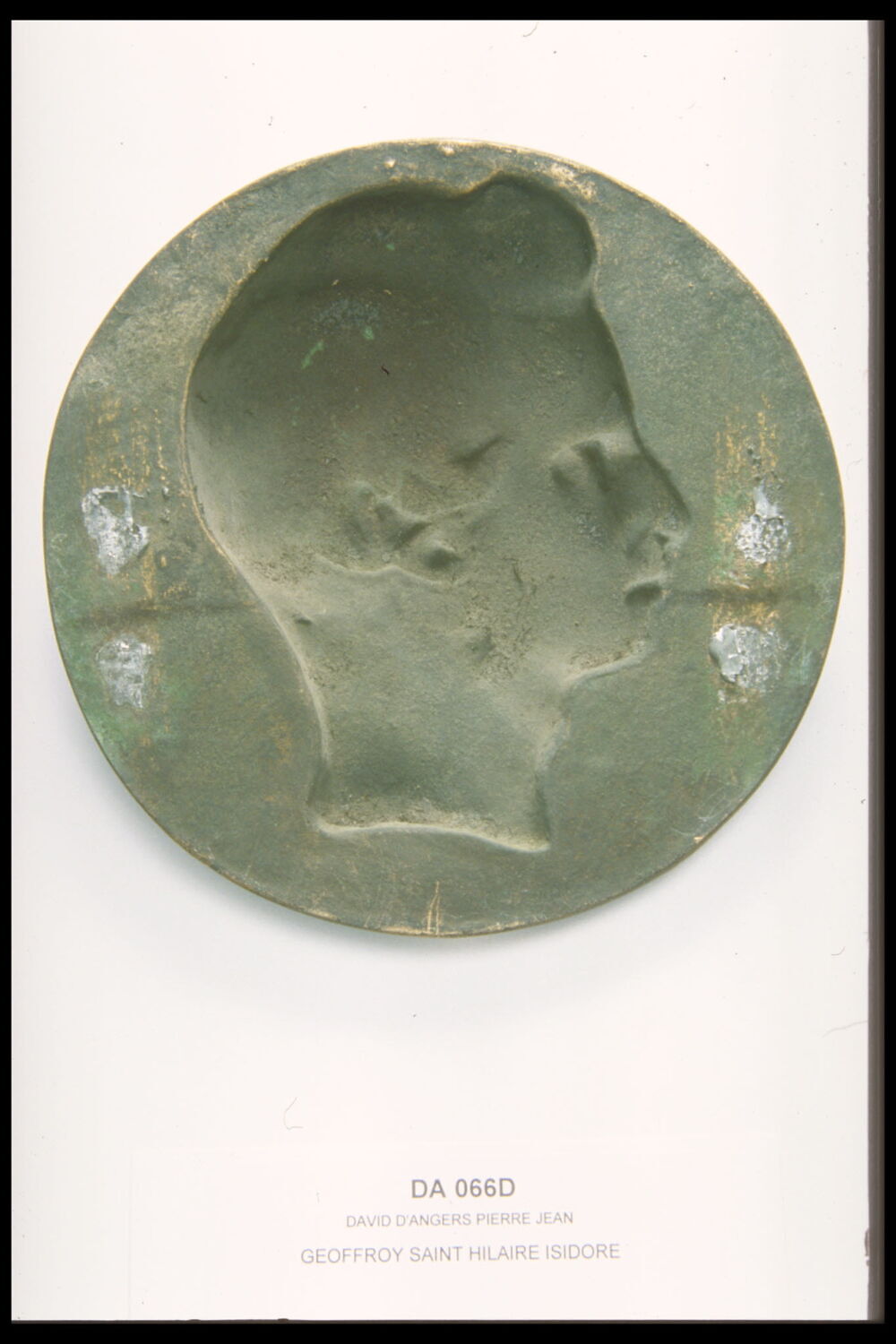 Isidore Geoffroy Saint-Hilaire - Louvre Collections