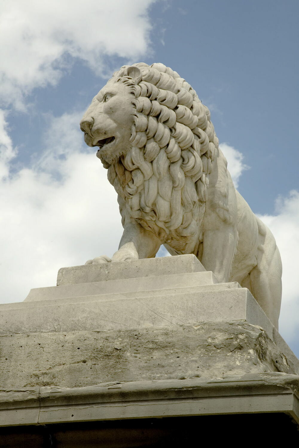Lion - Louvre Collections