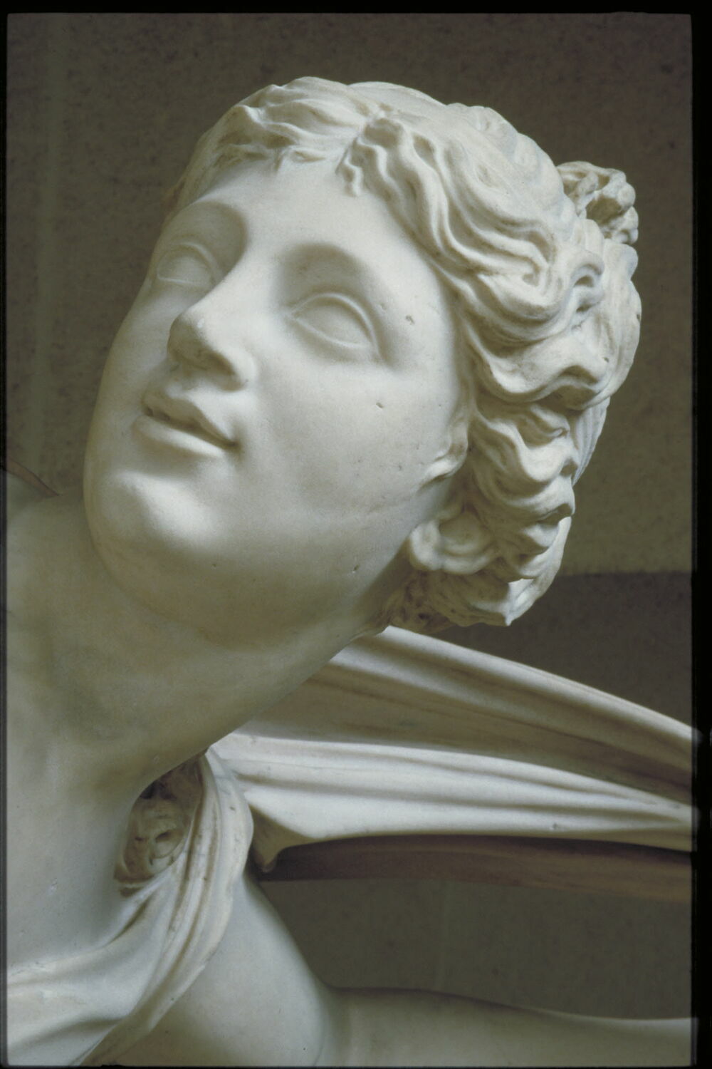 Vénus callipyge - Louvre site des collections