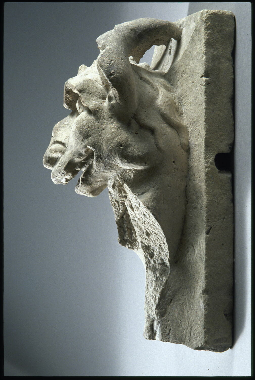 Élément d'architecture décoré de la tête d'un animal chimérique ...