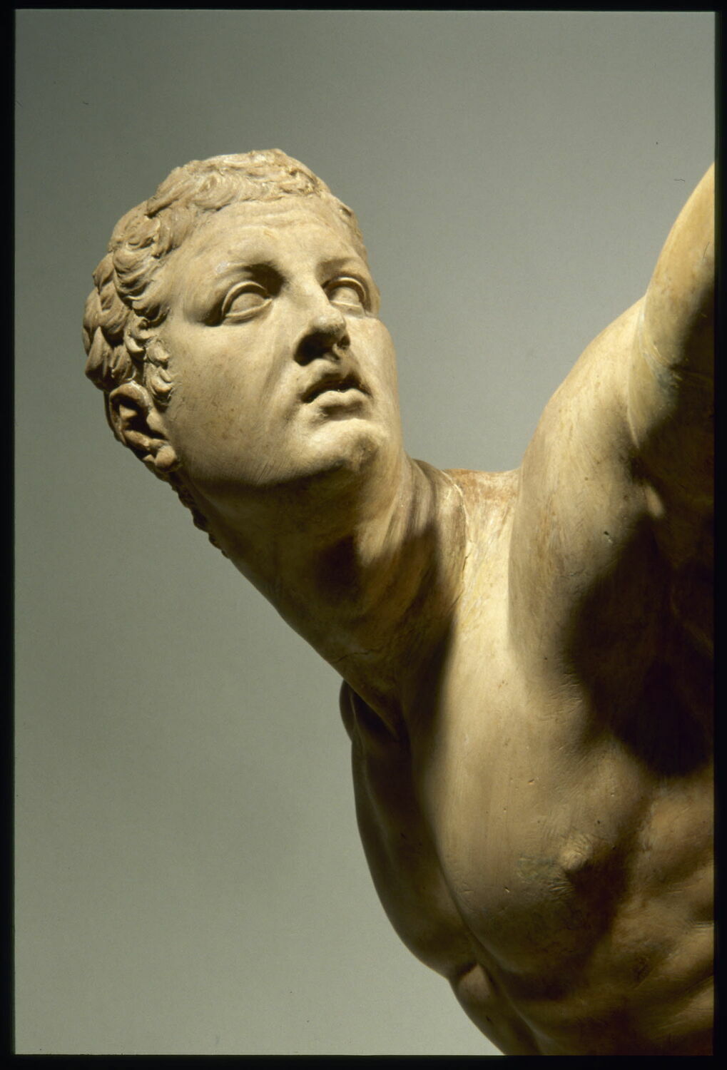 Le gladiateur Borghèse - Louvre site des collections