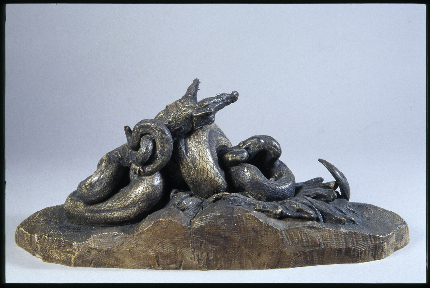 Serpent python étouffant un crocodile - Louvre site des collections