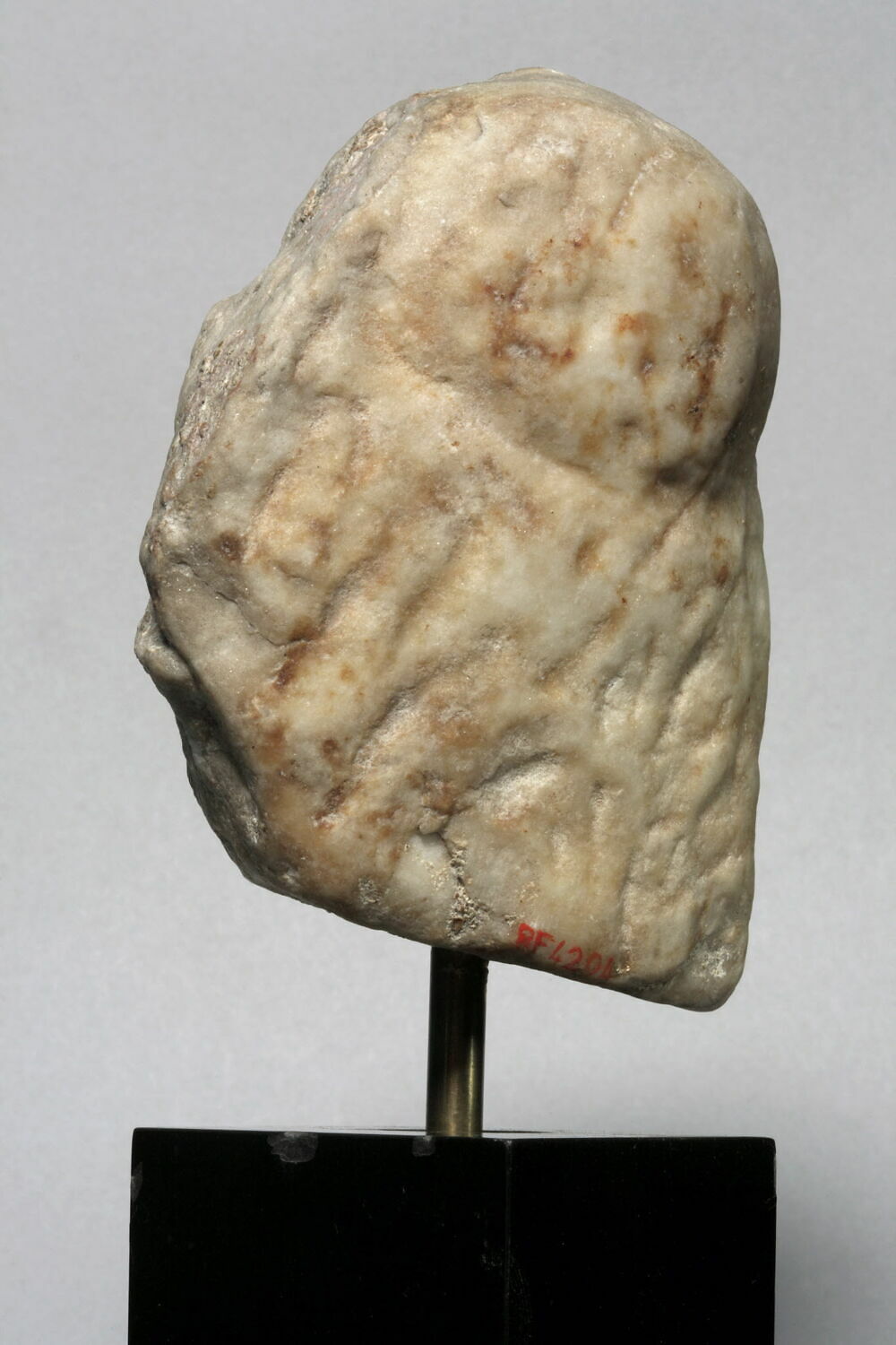 Tête d'homme barbu coiffé d'un bonnet juif - Louvre site des collections