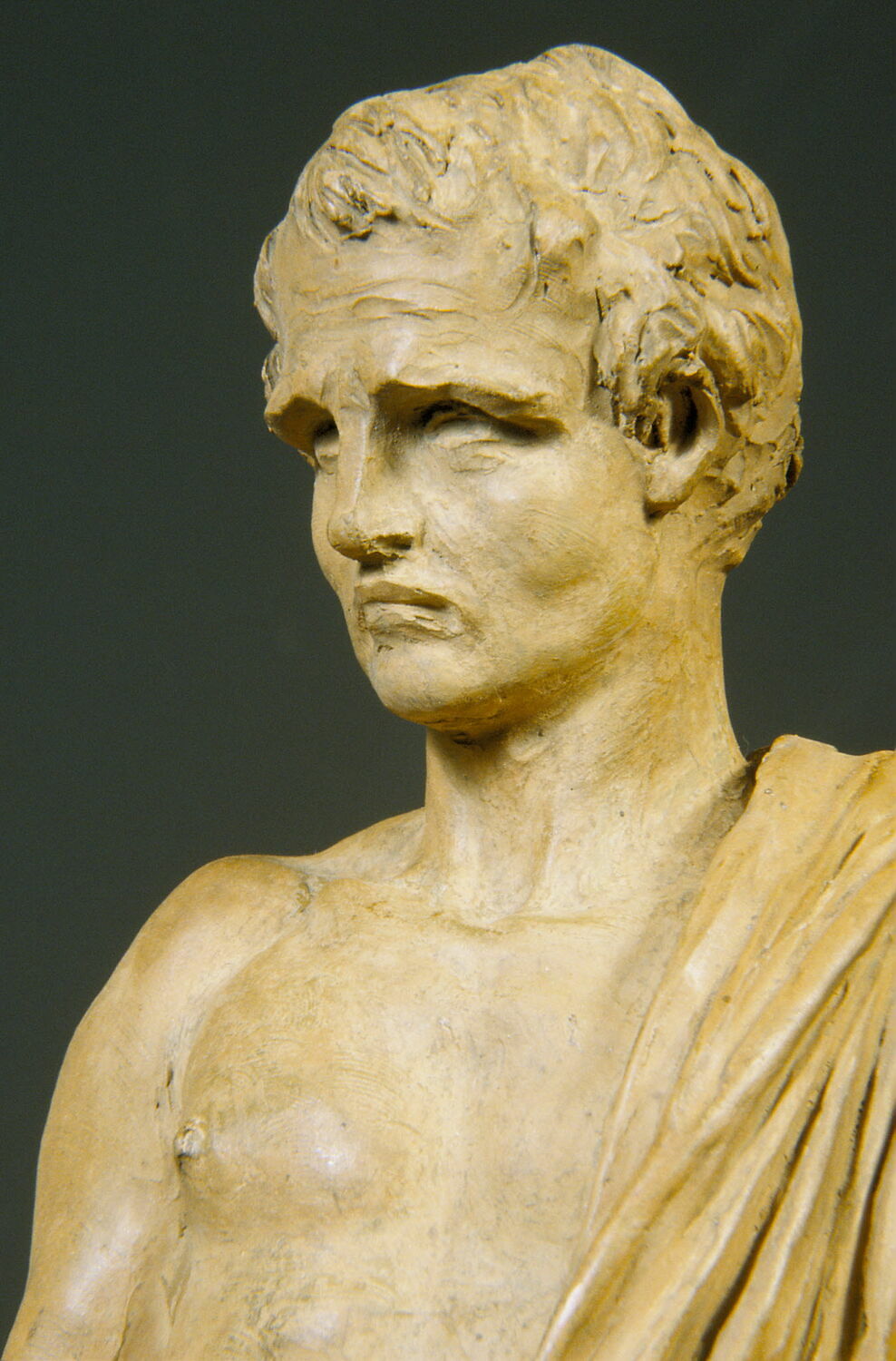 Caton d'Utique - Louvre site des collections