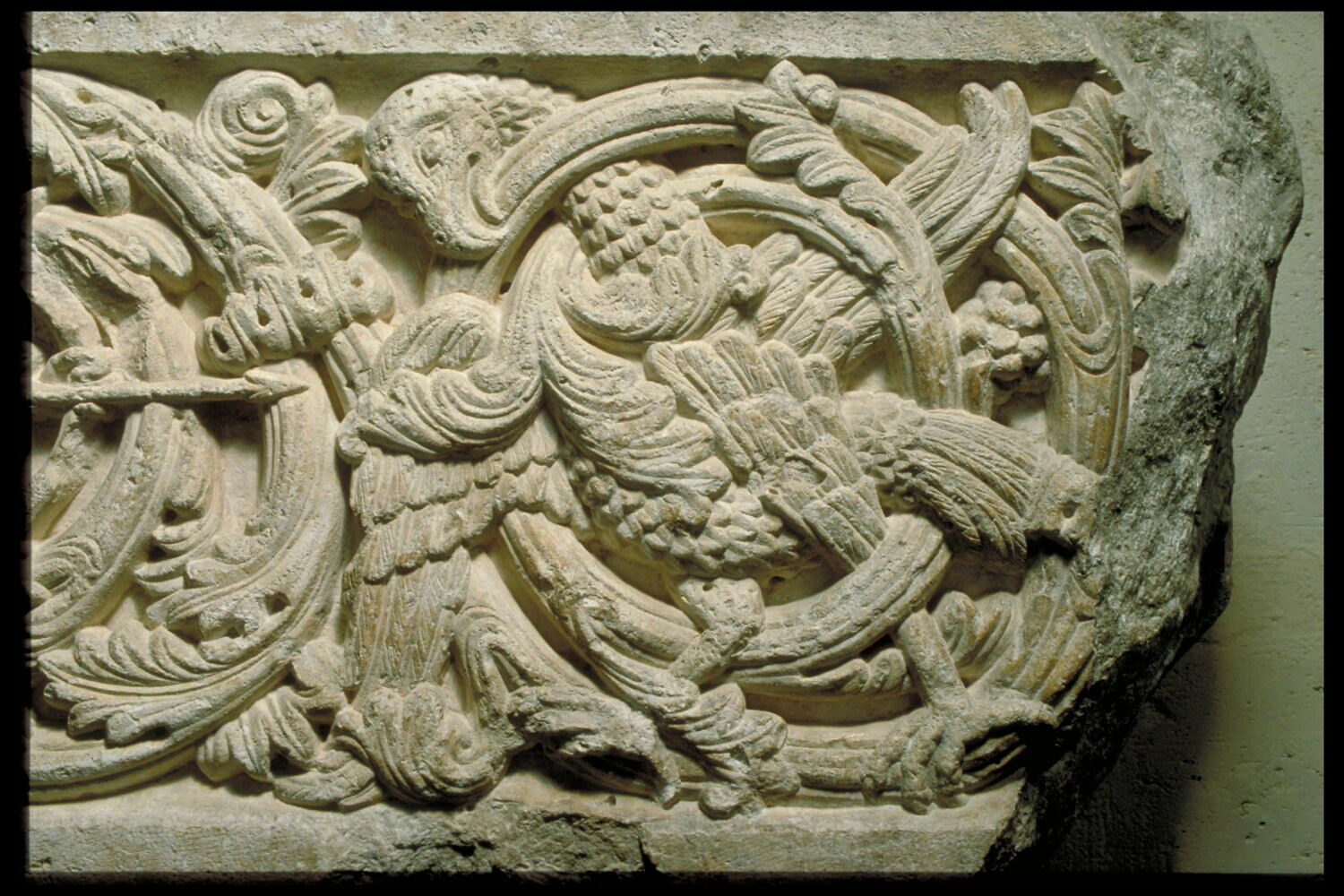 Fragment de linteau à décor de rinceau habité - Louvre site des collections