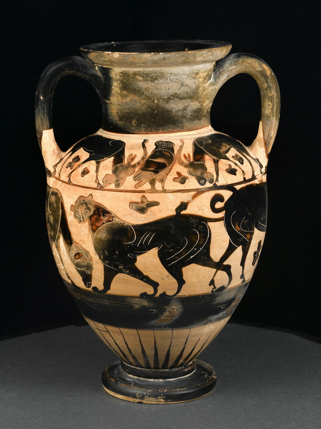 amphore - Louvre Collections