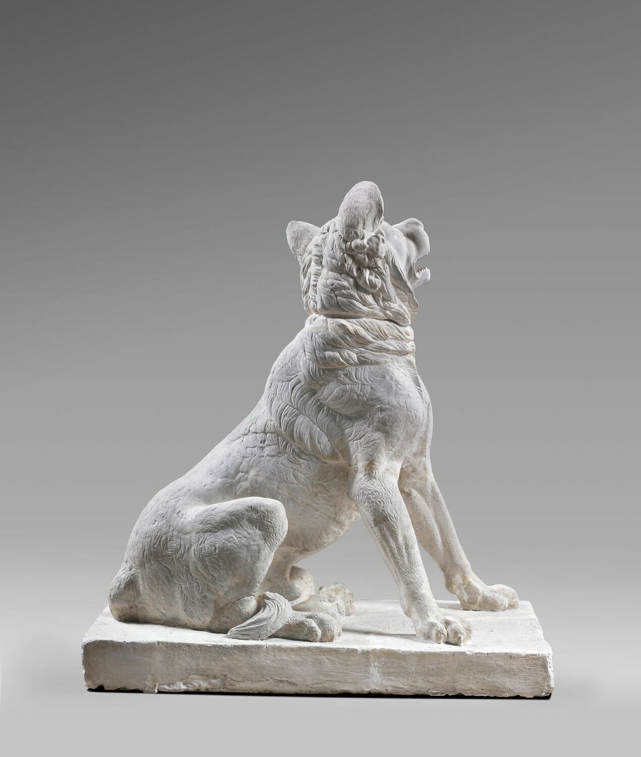 molosse du Belvedere - Louvre site des collections