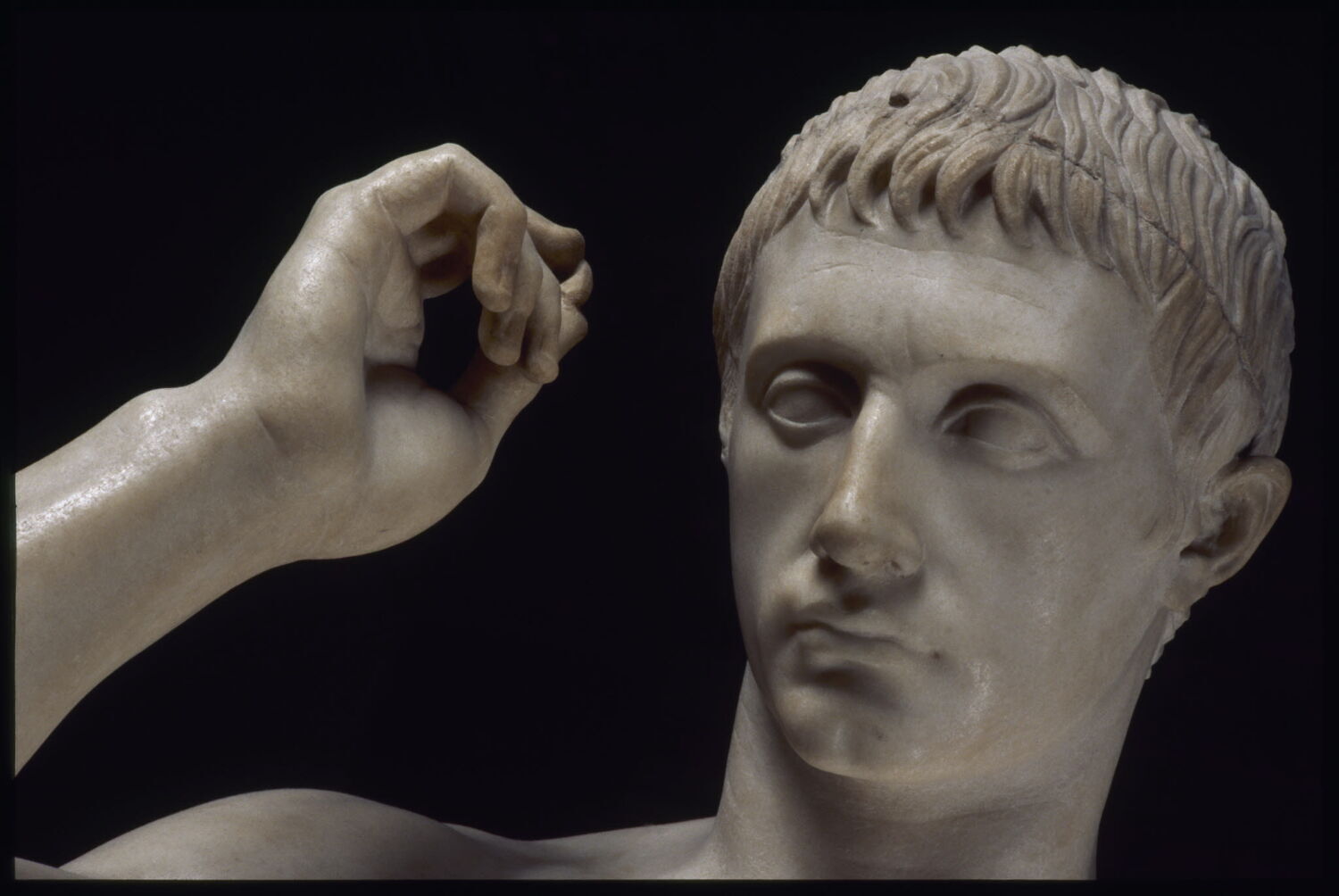 Marcellus - Louvre site des collections