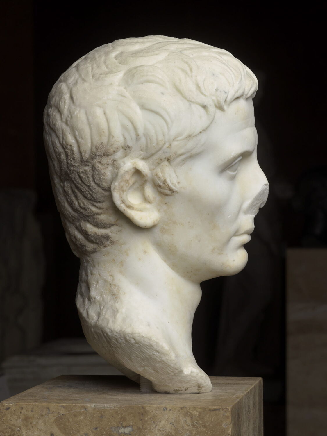 Buste d'Auguste - Louvre site des collections