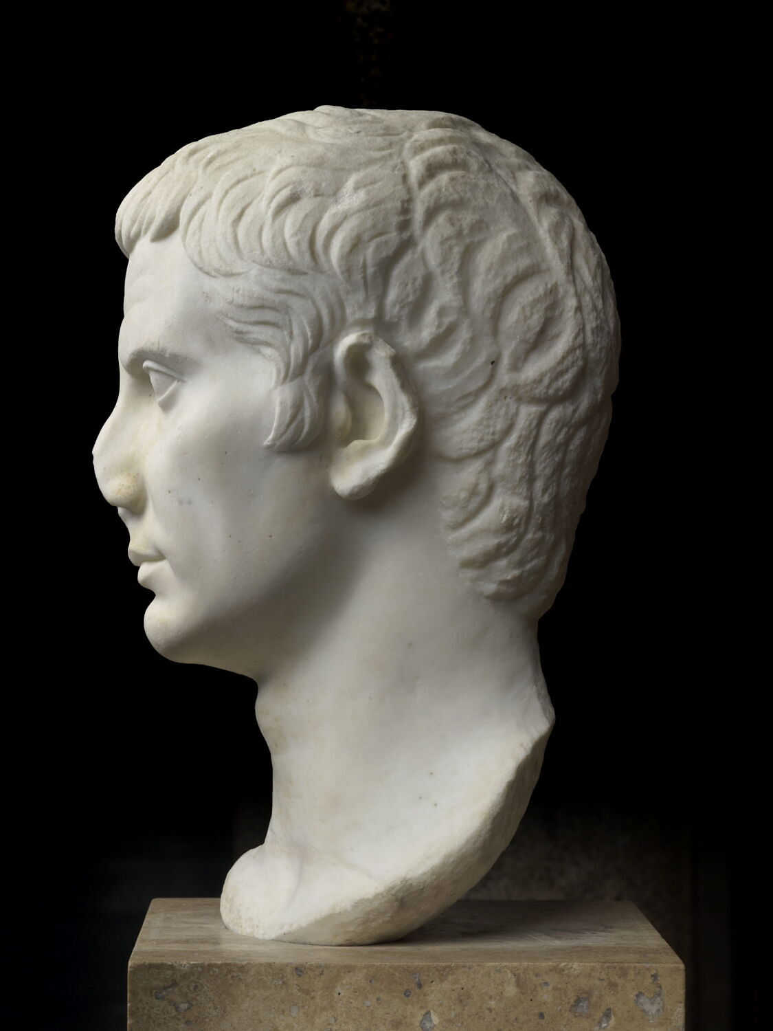 Buste d'Auguste - Louvre site des collections