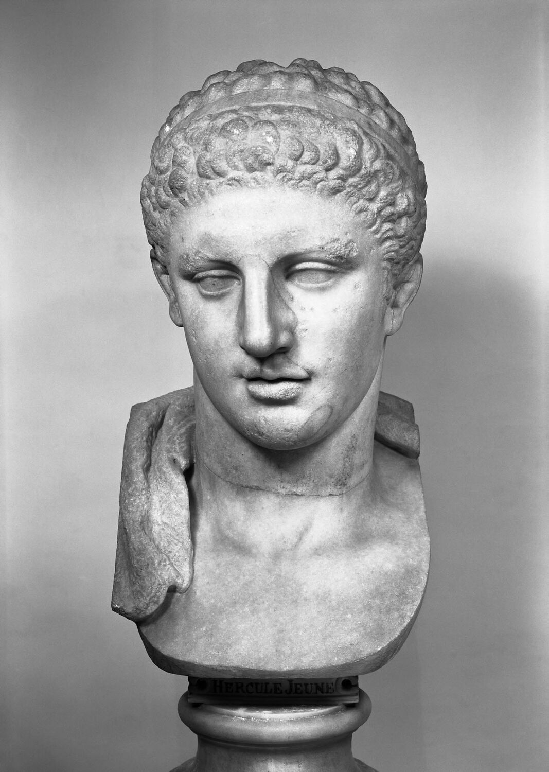 Buste d'Hercule - Louvre site des collections