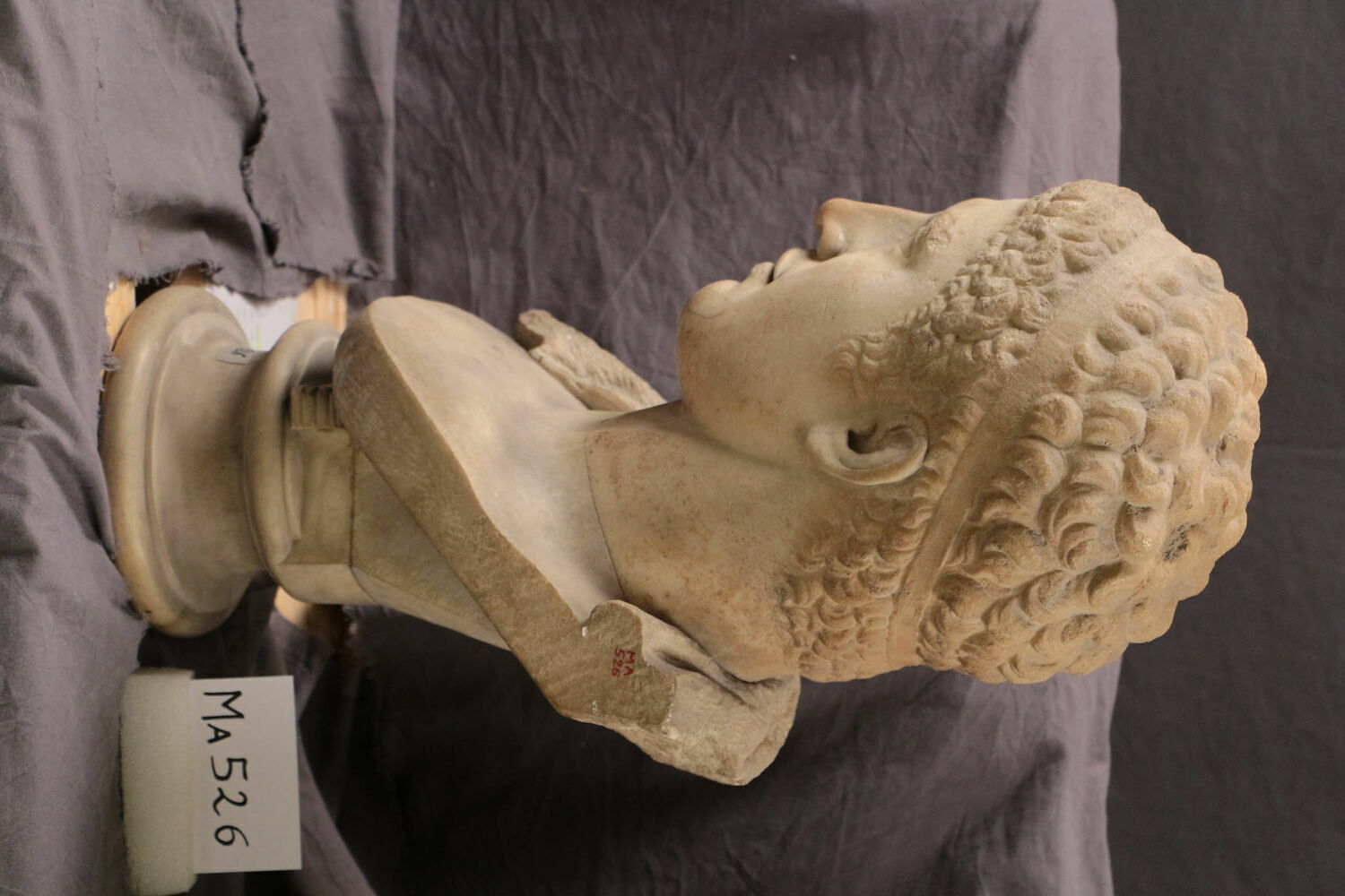 Buste d'Hercule - Louvre site des collections