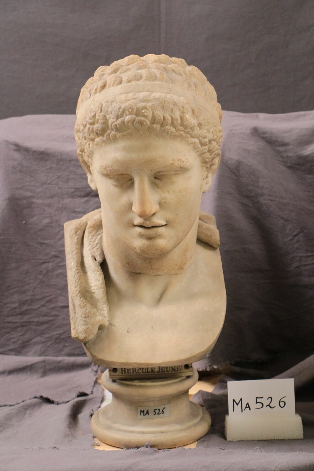 Buste d'Hercule - Louvre site des collections