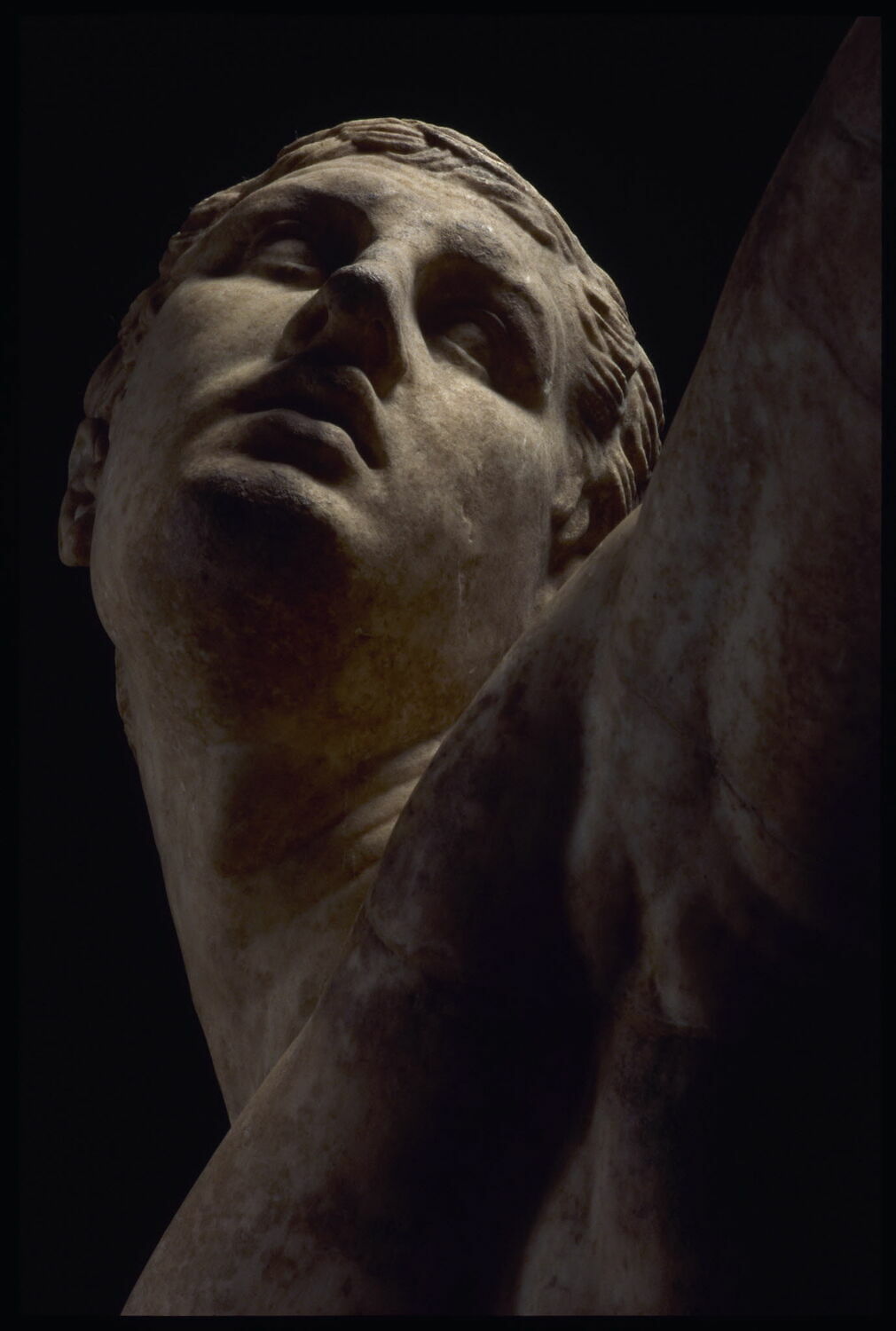 Gladiateur Borghèse - Louvre site des collections