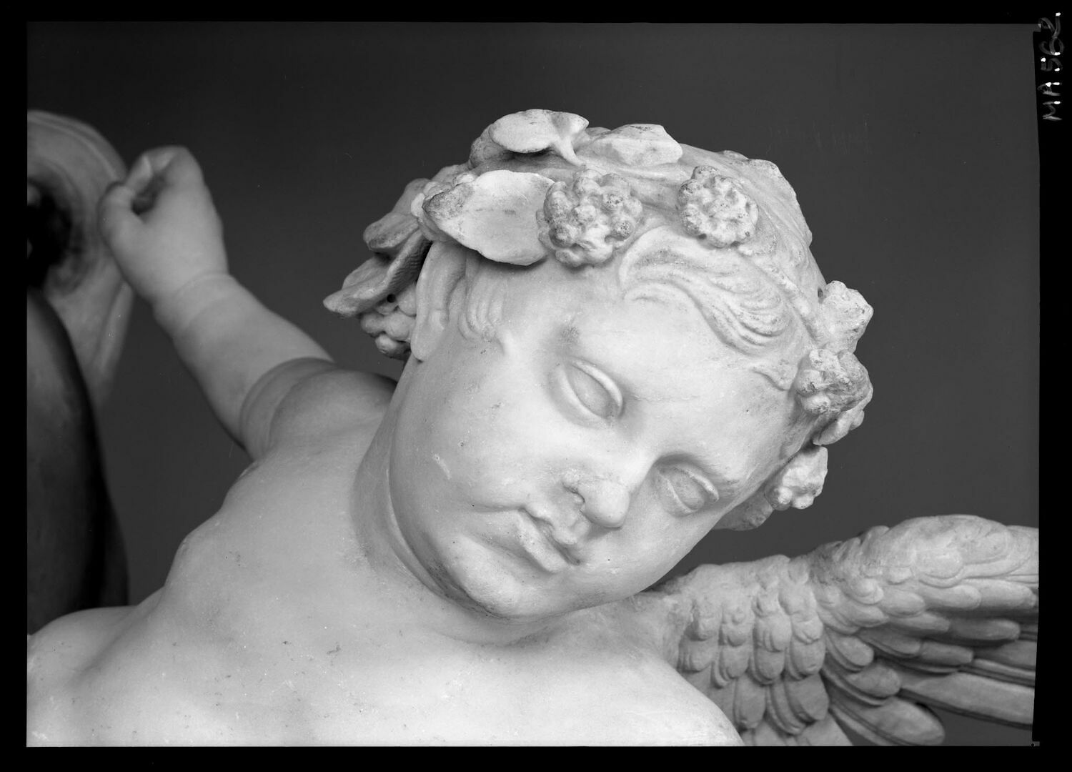 Centaure Borghèse - Louvre site des collections