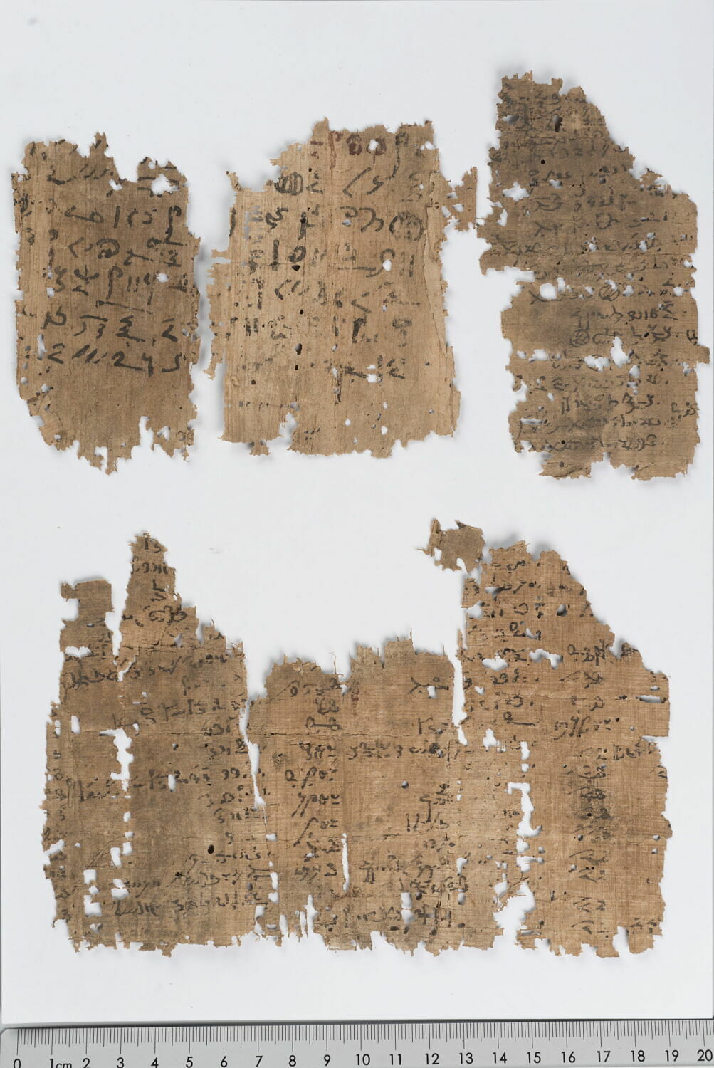 papyrus - Louvre Collections