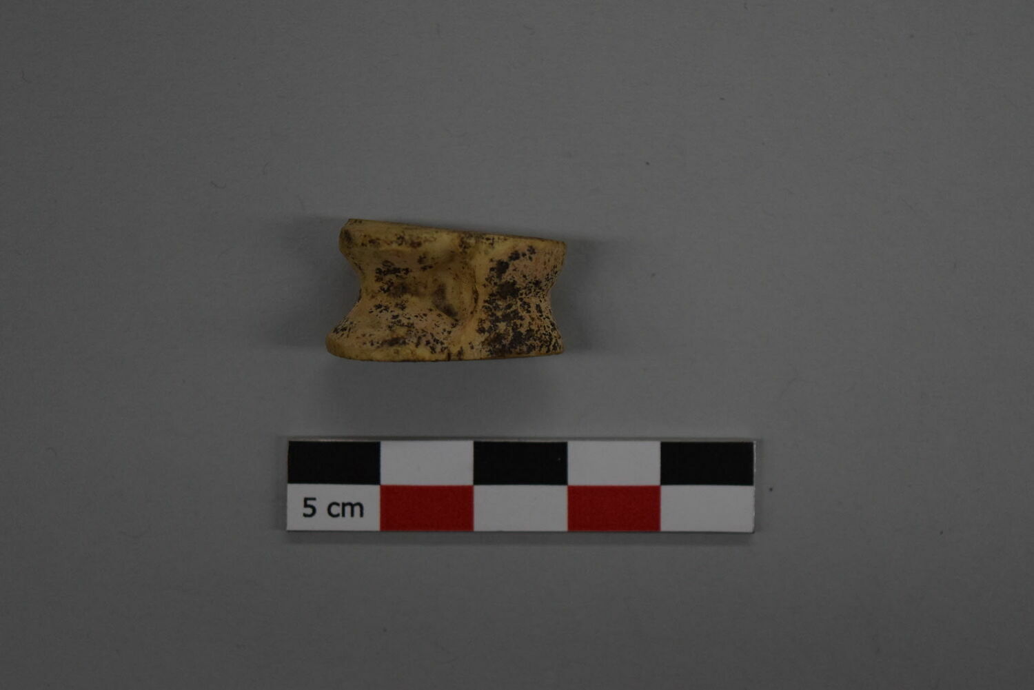 osselet - Louvre Collections