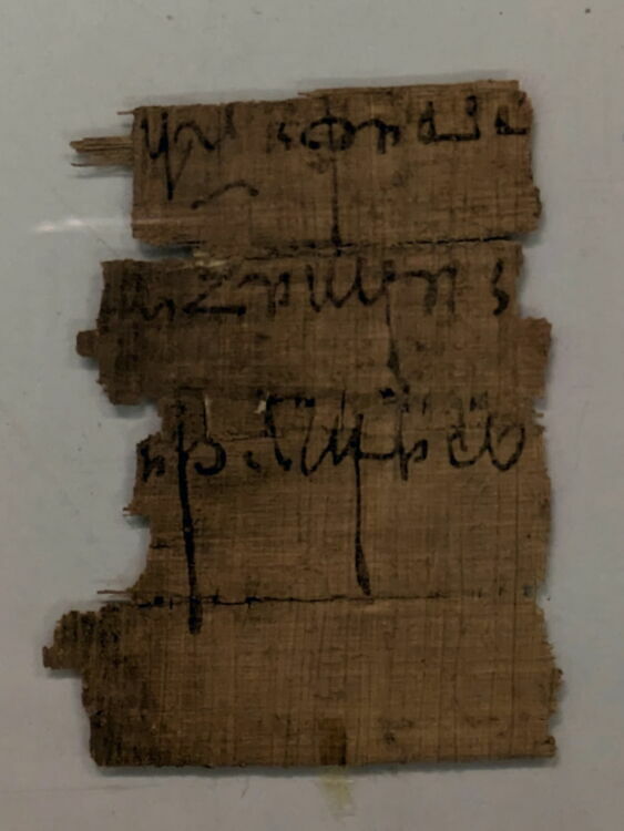 papyrus - Louvre site des collections