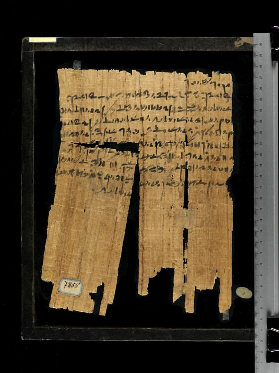 papyrus documentaire - Louvre site des collections