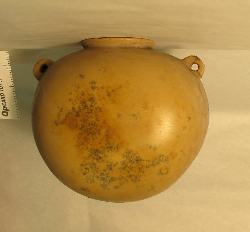 gourde - Louvre Collections