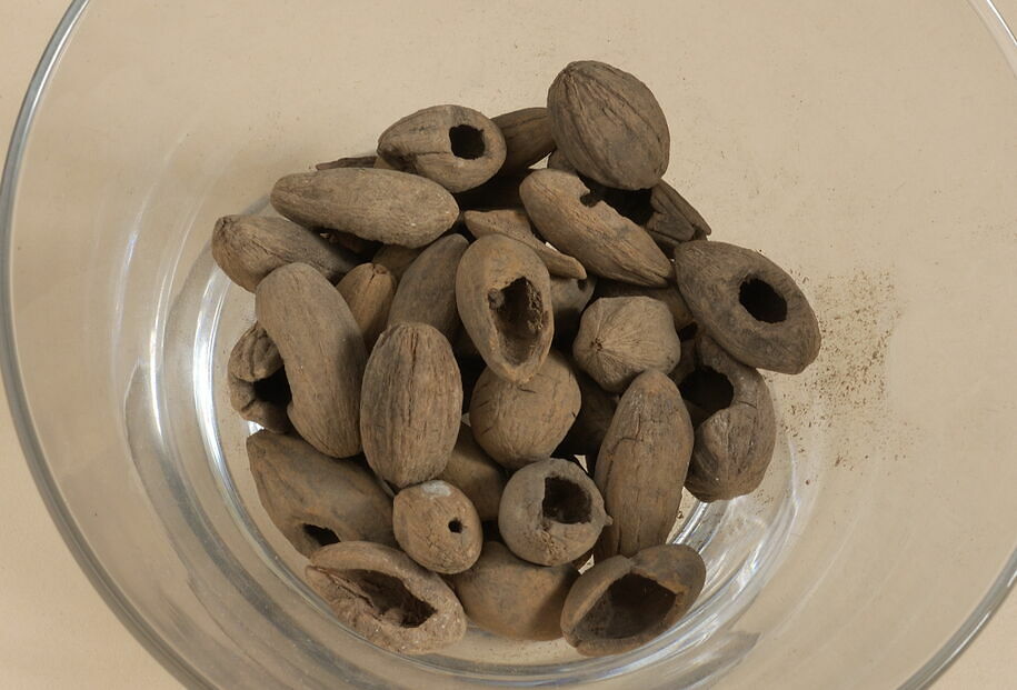 balanite - Louvre site des collections