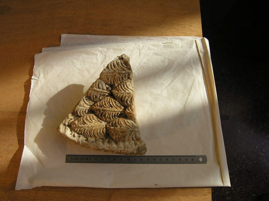 indéterminé ; fragment - Louvre Collections