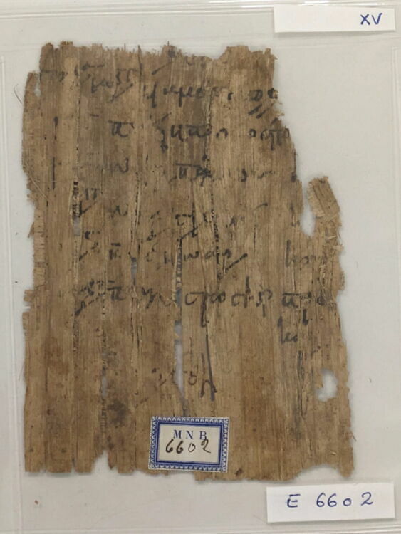 papyrus - Louvre Collections
