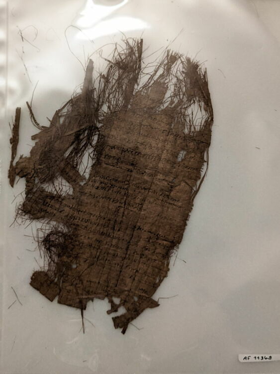 papyrus - Louvre site des collections