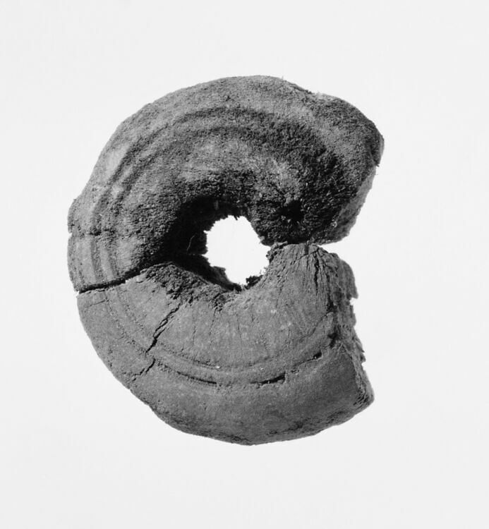 fusaïole ; deux fragments recollés - Louvre site des collections