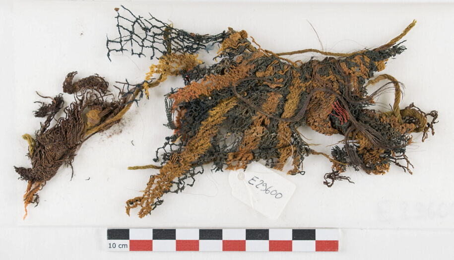 filet de tête ; fragments - Louvre Collections