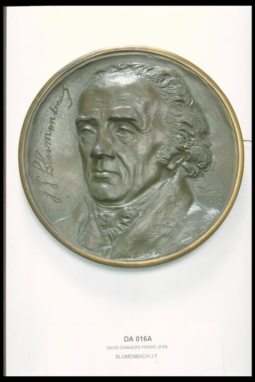 Johann Friedrich Blumenbach - Louvre site des collections