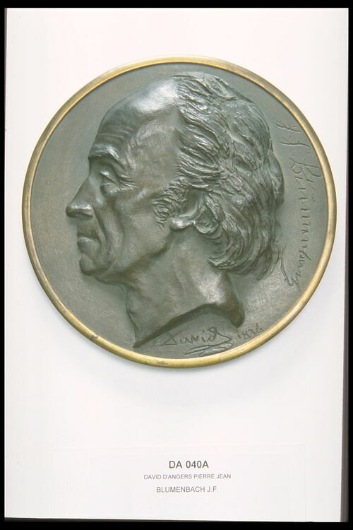 Johann Friedrich Blumenbach - Louvre site des collections