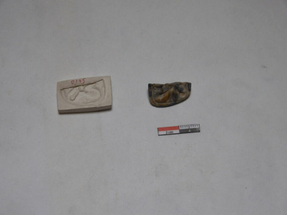 cachet - Louvre site des collections