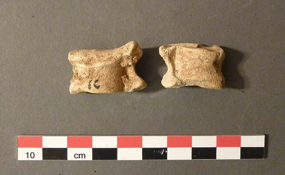 osselet - Louvre Collections