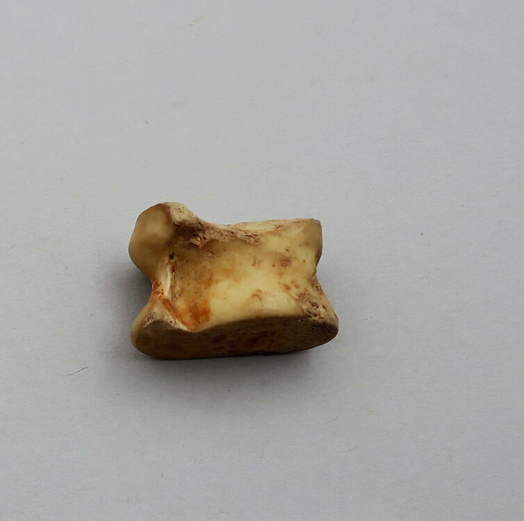 osselet - Louvre site des collections