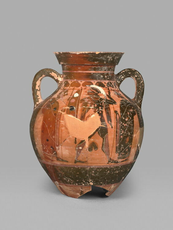 amphore - Louvre Collections