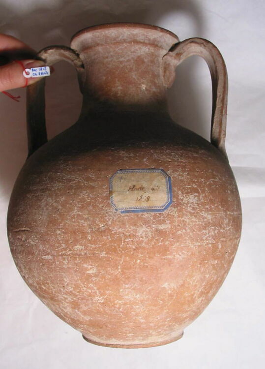 amphore - Louvre site des collections