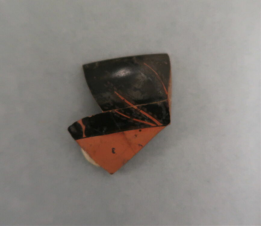 coupe - Louvre Collections