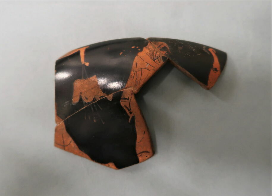 coupe - Louvre Collections