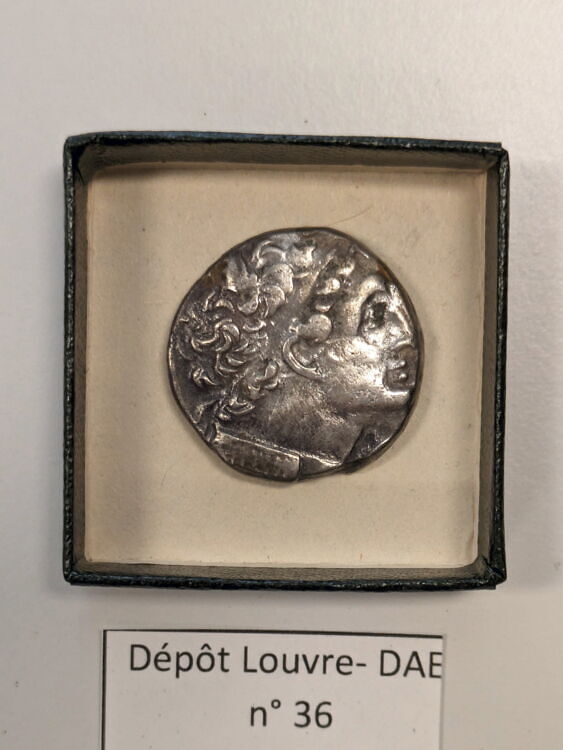 tétradrachme alexandrin - Louvre site des collections