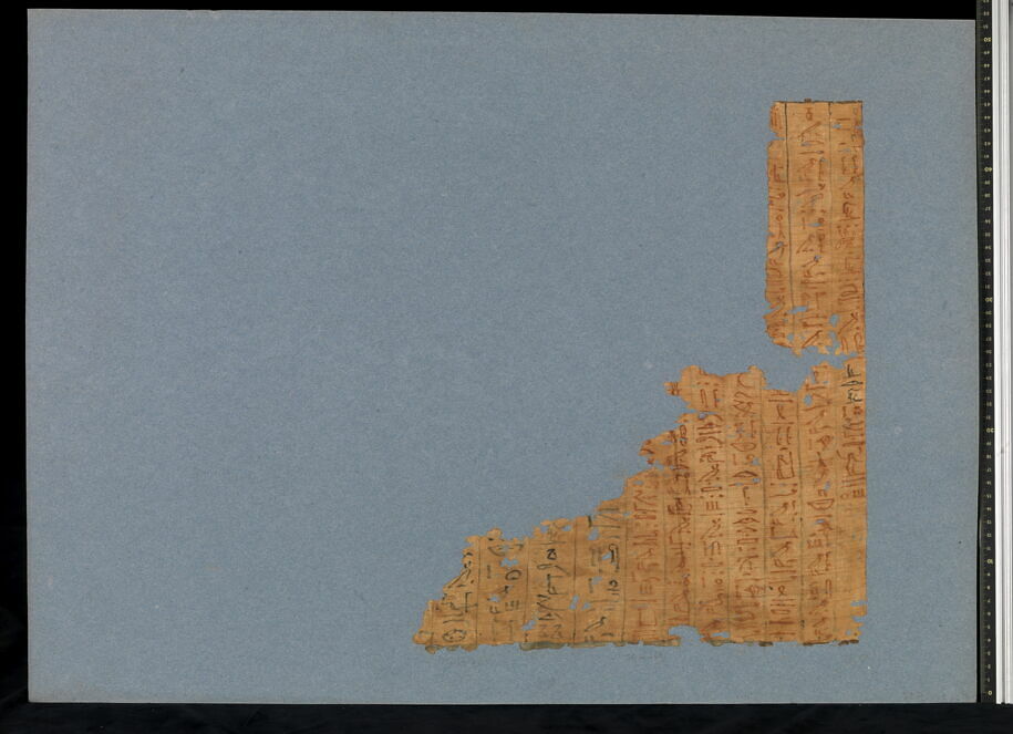 linceul peint - Louvre Collections