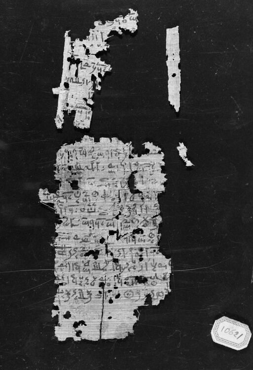 papyrus - Louvre Collections