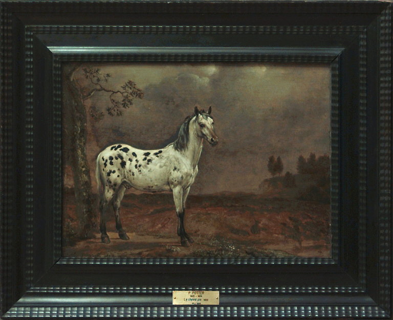 Le Cheval pie - Louvre site des collections