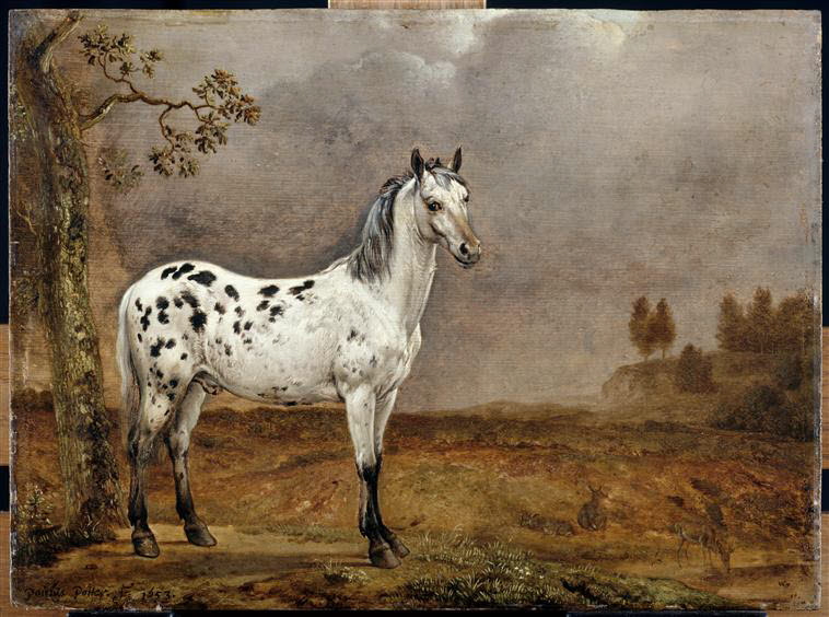 Le Cheval pie - Louvre site des collections